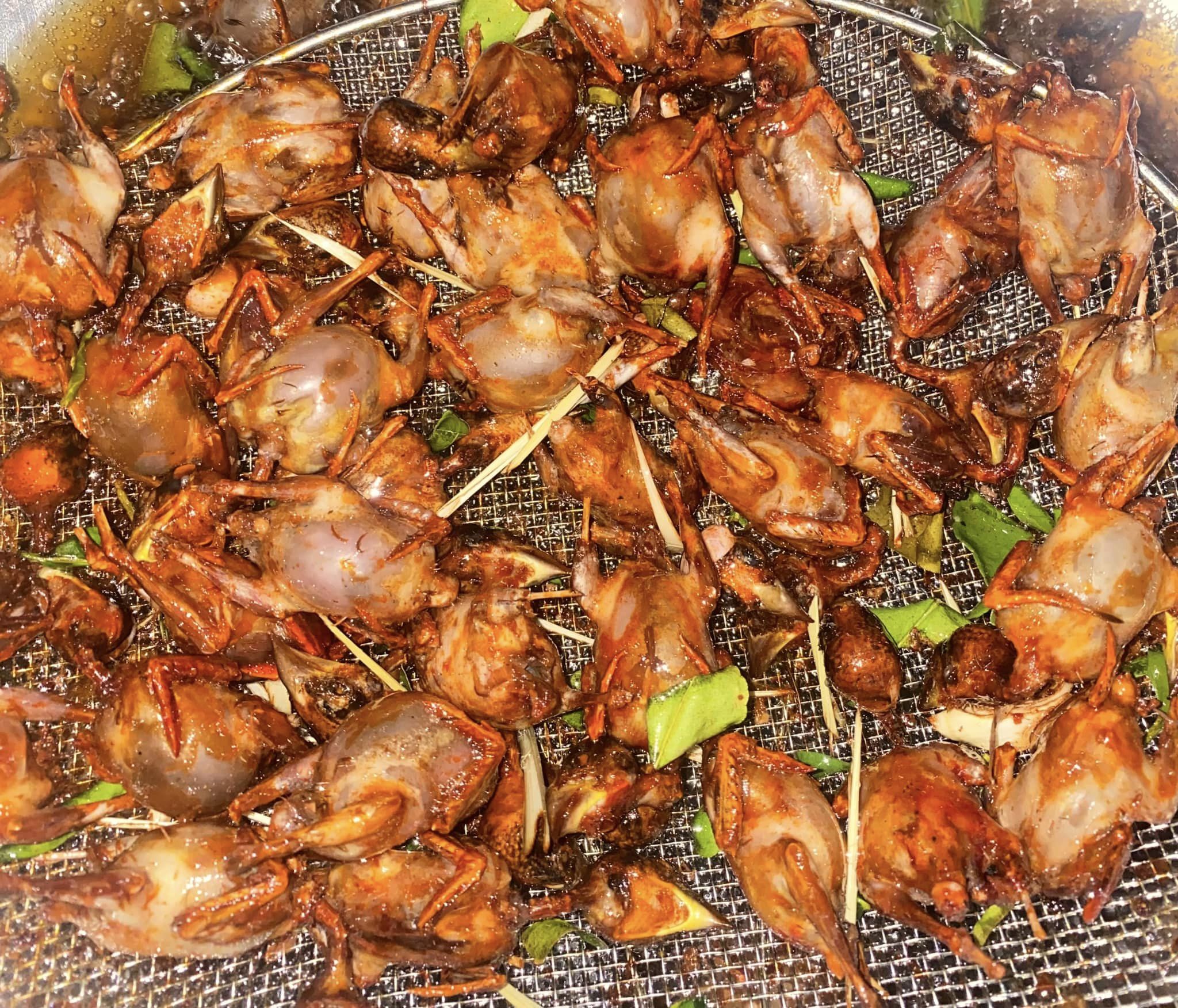 Honey Fried Rice Sparrow